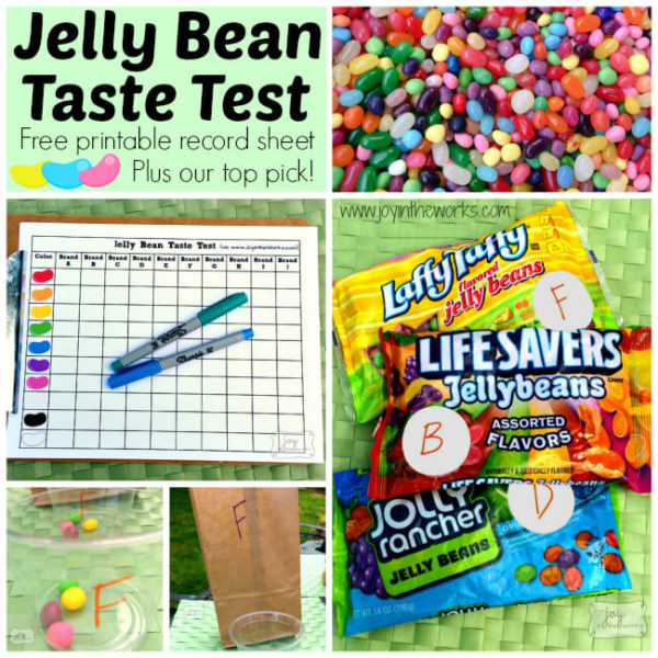 Jelly Bean Taste Test - Joy in the Works