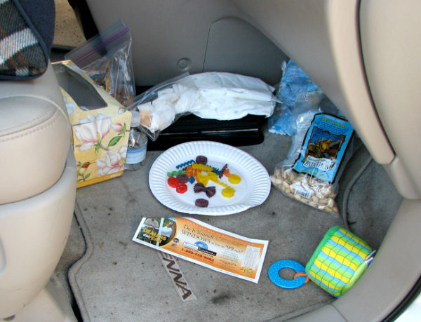 The secret to keeping your car clean (and a giveaway!) - Joy in the Works